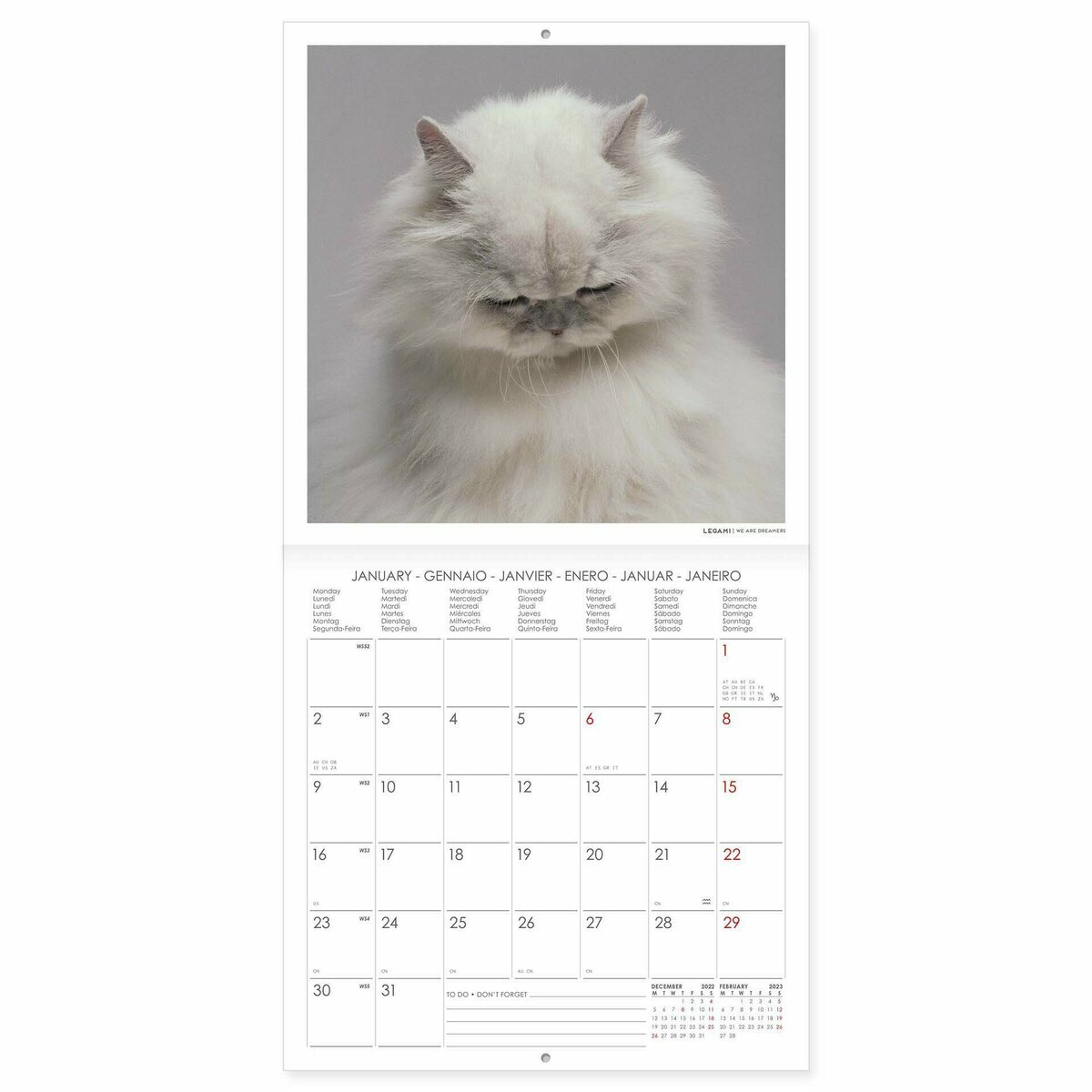 Mini Calendrier 2023 Chat Mini Calendrier 2023 Chat