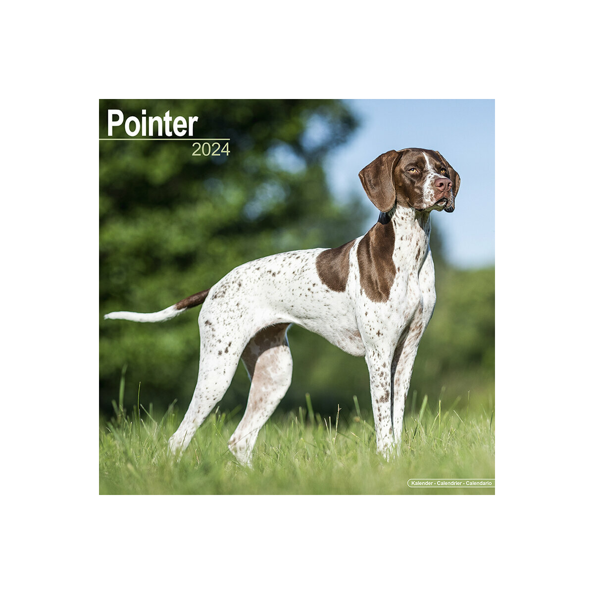 calendrier Pointer 2024