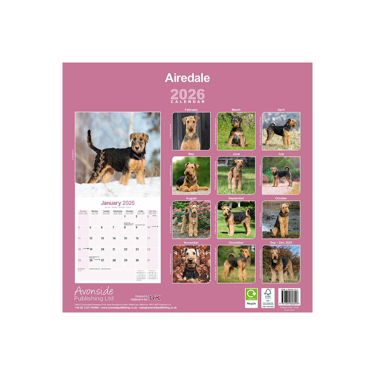 Calendrier Mural 2025 Airedale Terrier Chien de Terrier Calendrier Mural 2025 Airedale Terrier Chien de Terrier