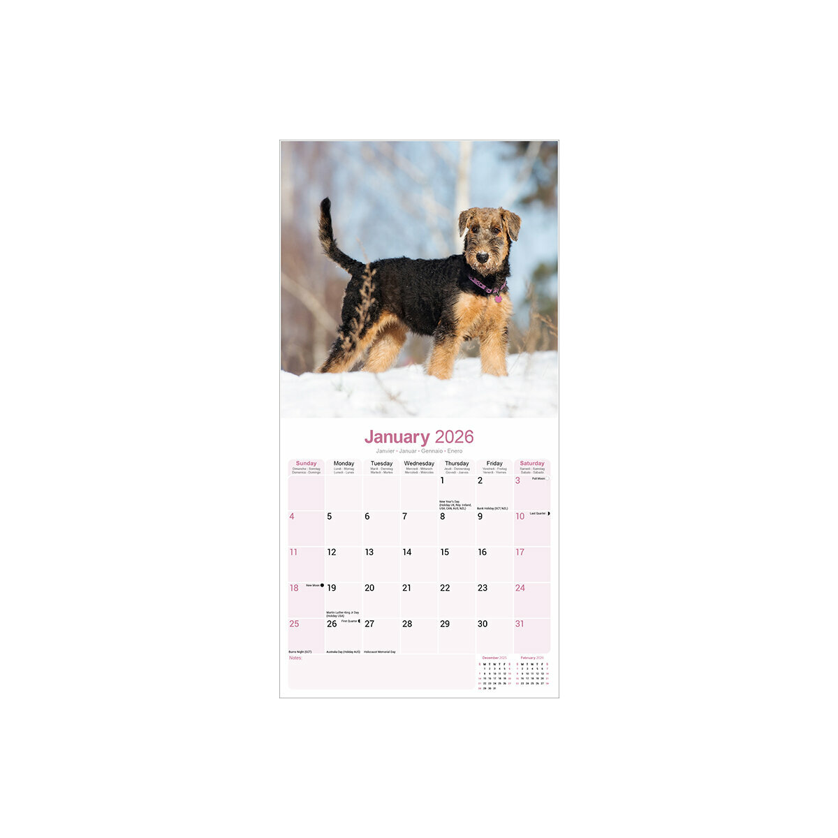 Calendrier Mural 2025 Airedale Terrier Chien de Terrier Calendrier Mural 2025 Airedale Terrier Chien de Terrier